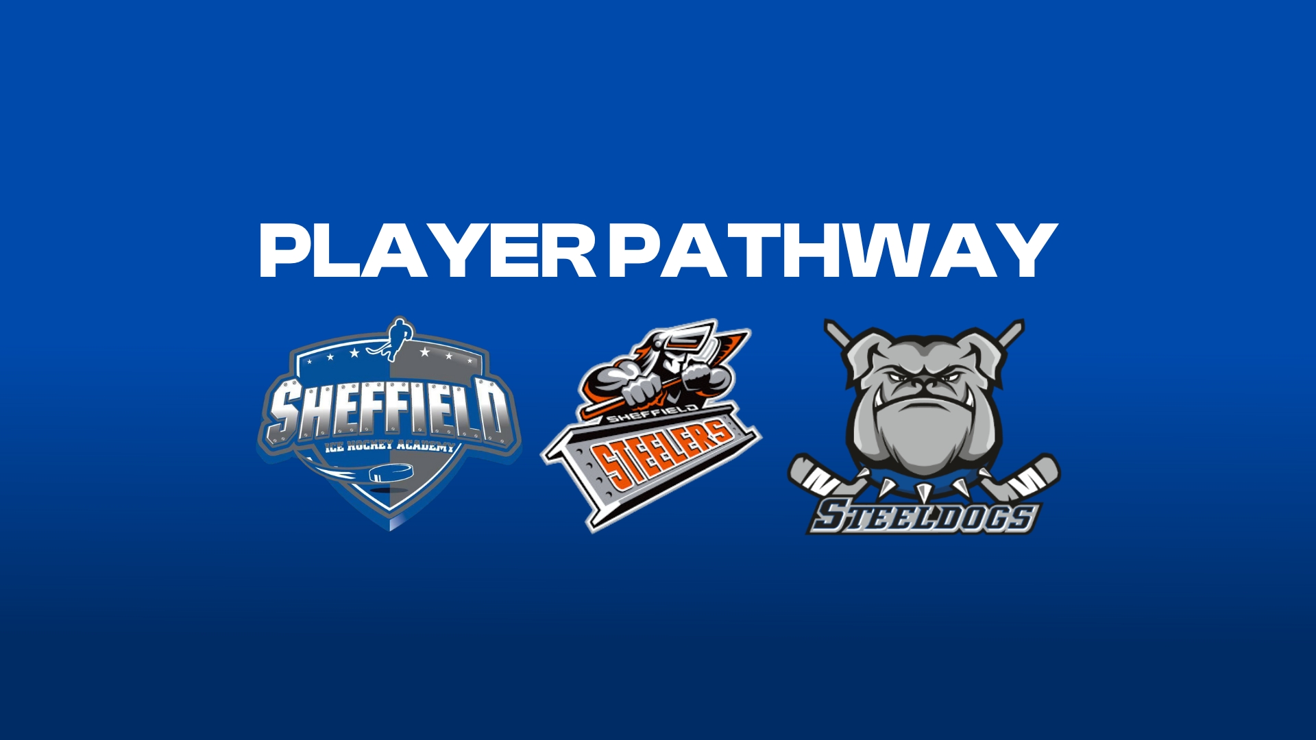 England Ice Hockey | Sheffield Steelers, Steeldogs, and Sheffield Ice ...